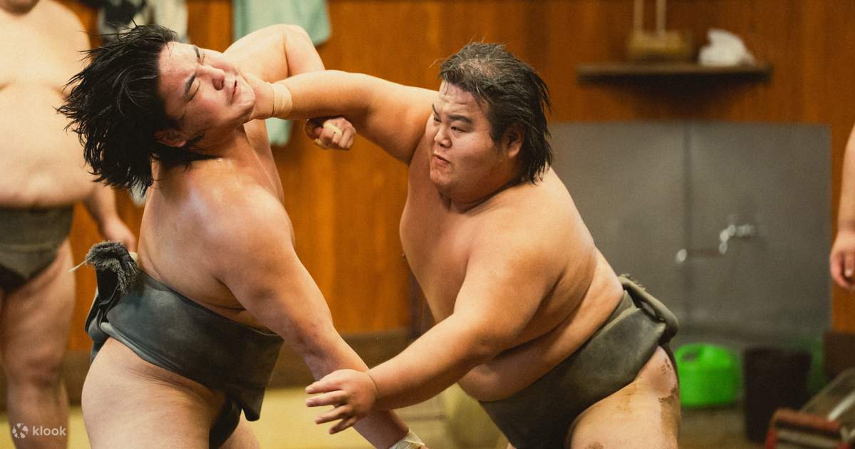 Sumo Morning Practice Viewing Tour (Tokyo) - Klook